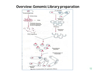 cDNA and Genomic libraries preparation | PPT