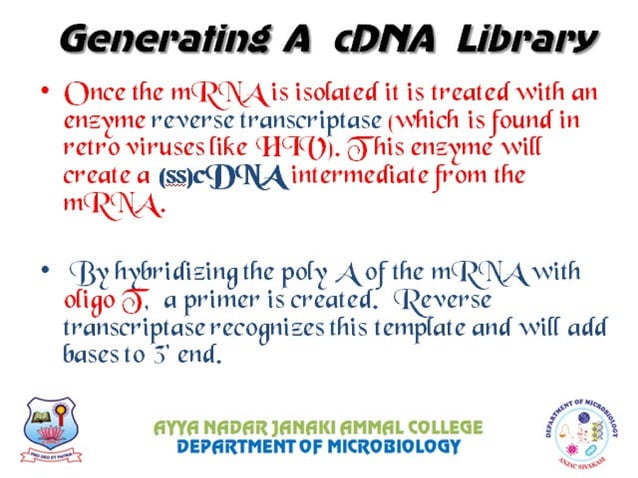 cDNA Library | PPT | Genetics | Science