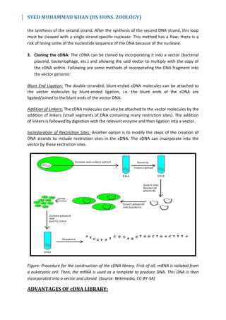 cDNA Library | PDF