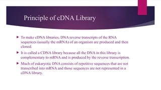 cDNA Library: Introduction, Construction, and Applications | PPTX