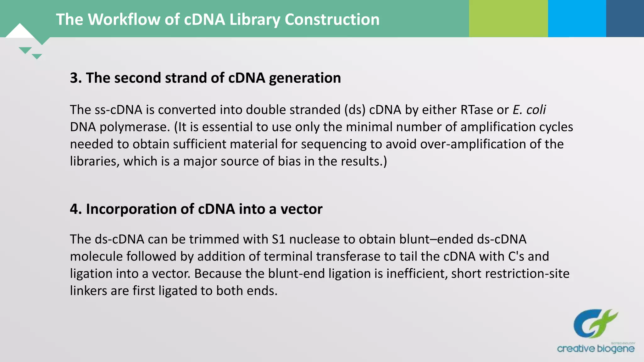 cDNA Library Construction | PPTX