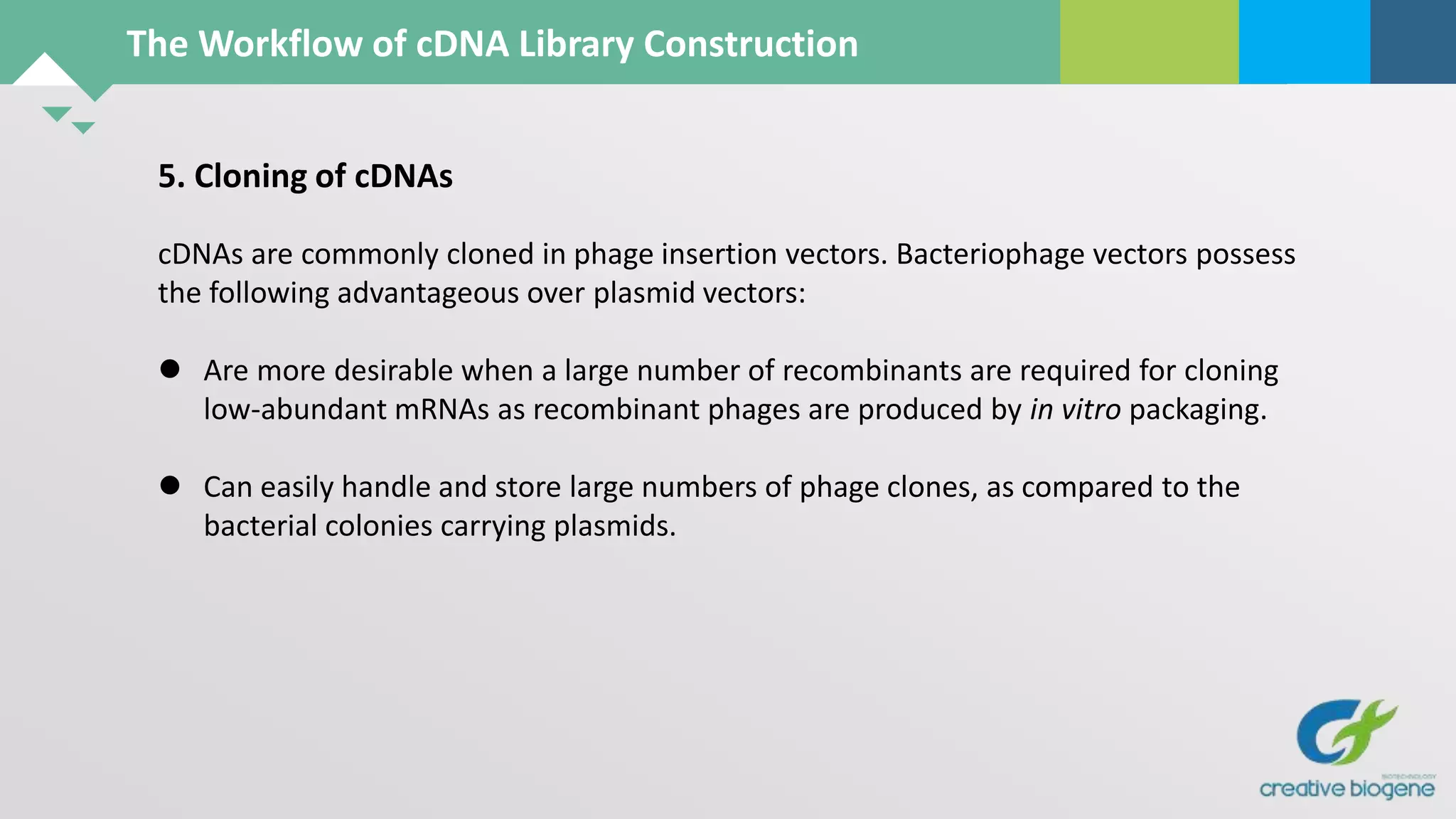 cDNA Library Construction | PPTX