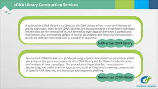 cDNA library construction | PPT