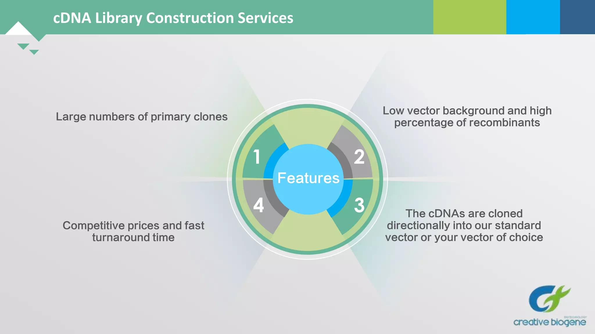 cDNA Library Construction | PPTX