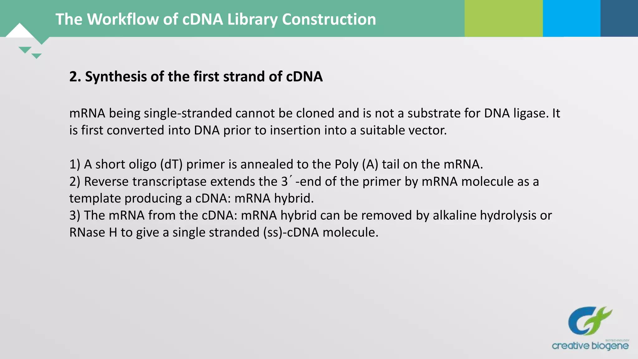 cDNA Library Construction | PPTX