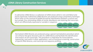 cDNA Library Construction | PPTX