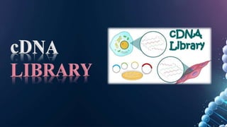 cDNA library .pptx | Biological Sciences | Science