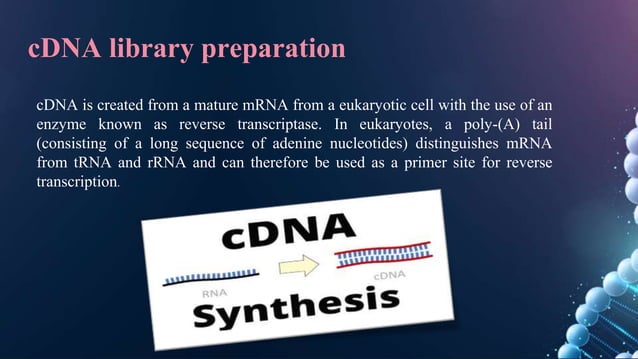 cDNA library .pptx | Biological Sciences | Science