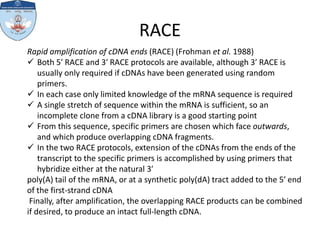 cDNA synthesis | PPTX