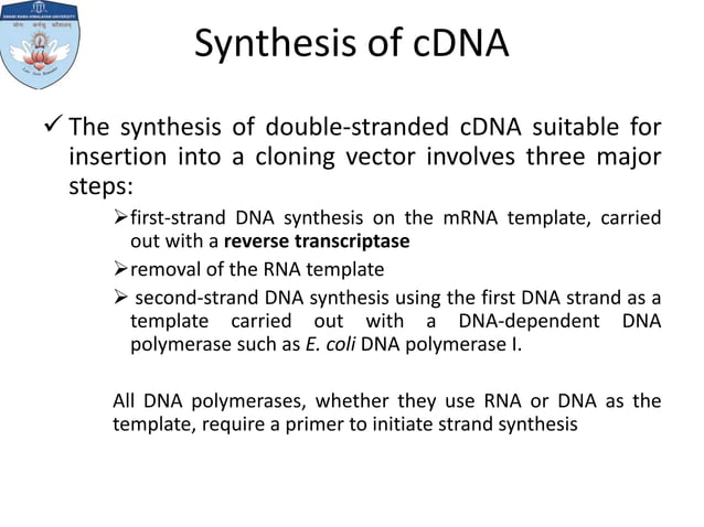 cDNA synthesis | PPTX