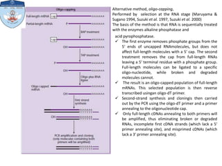 cDNA synthesis | PPTX