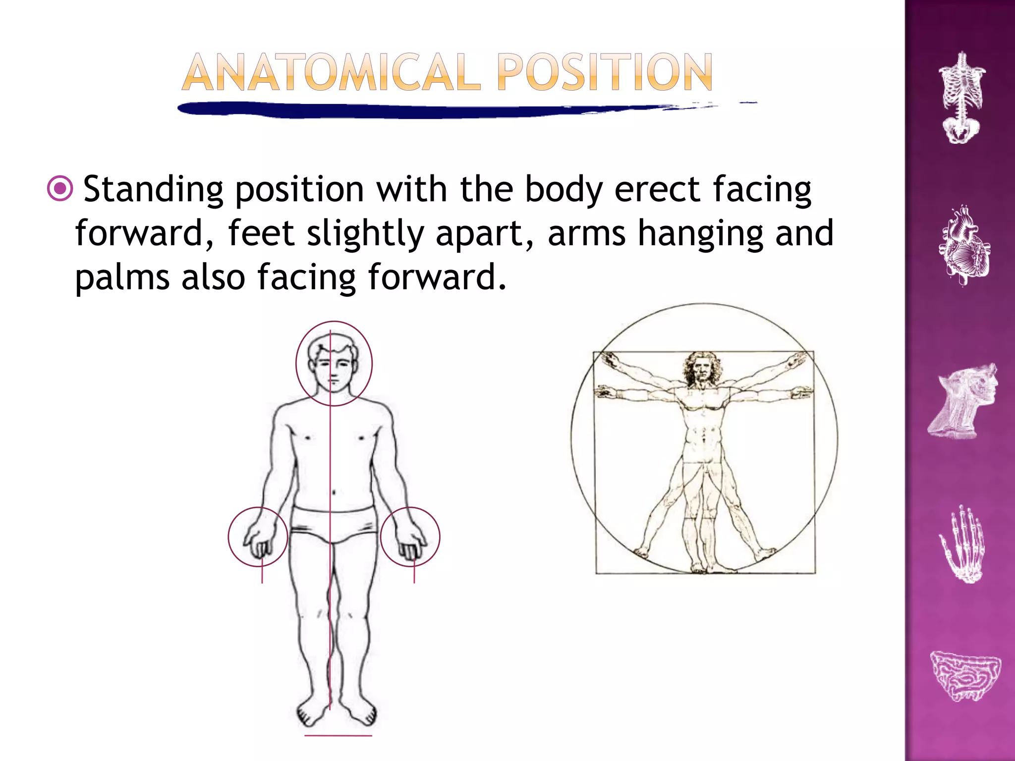 Introduction to Human Anatomy | PPTX