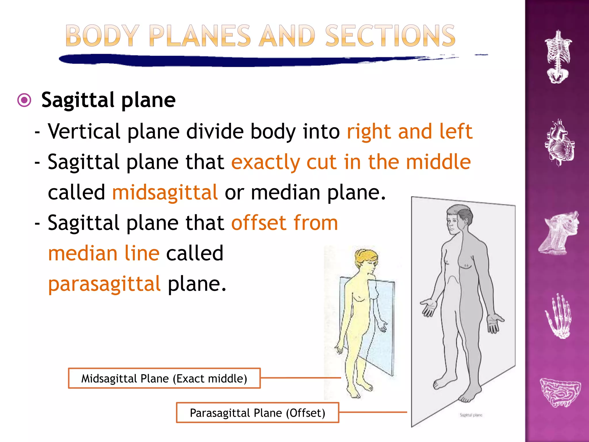 Introduction to Human Anatomy | PPTX