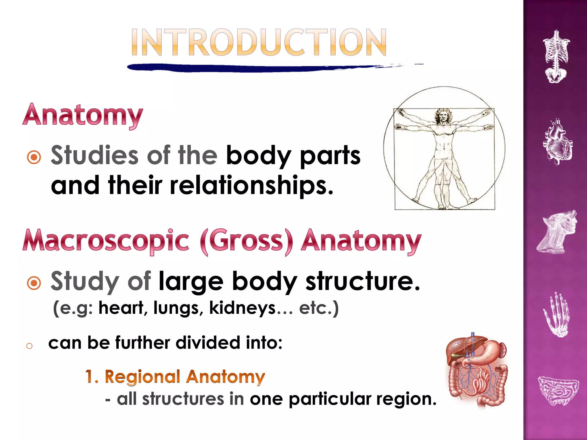 Introduction to Human Anatomy | PPTX
