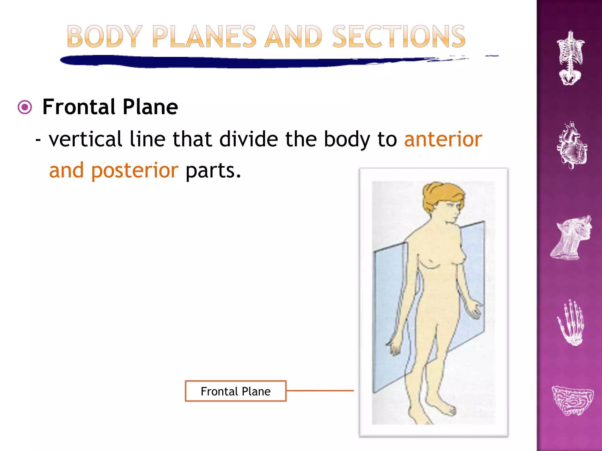Introduction to Human Anatomy | PPTX