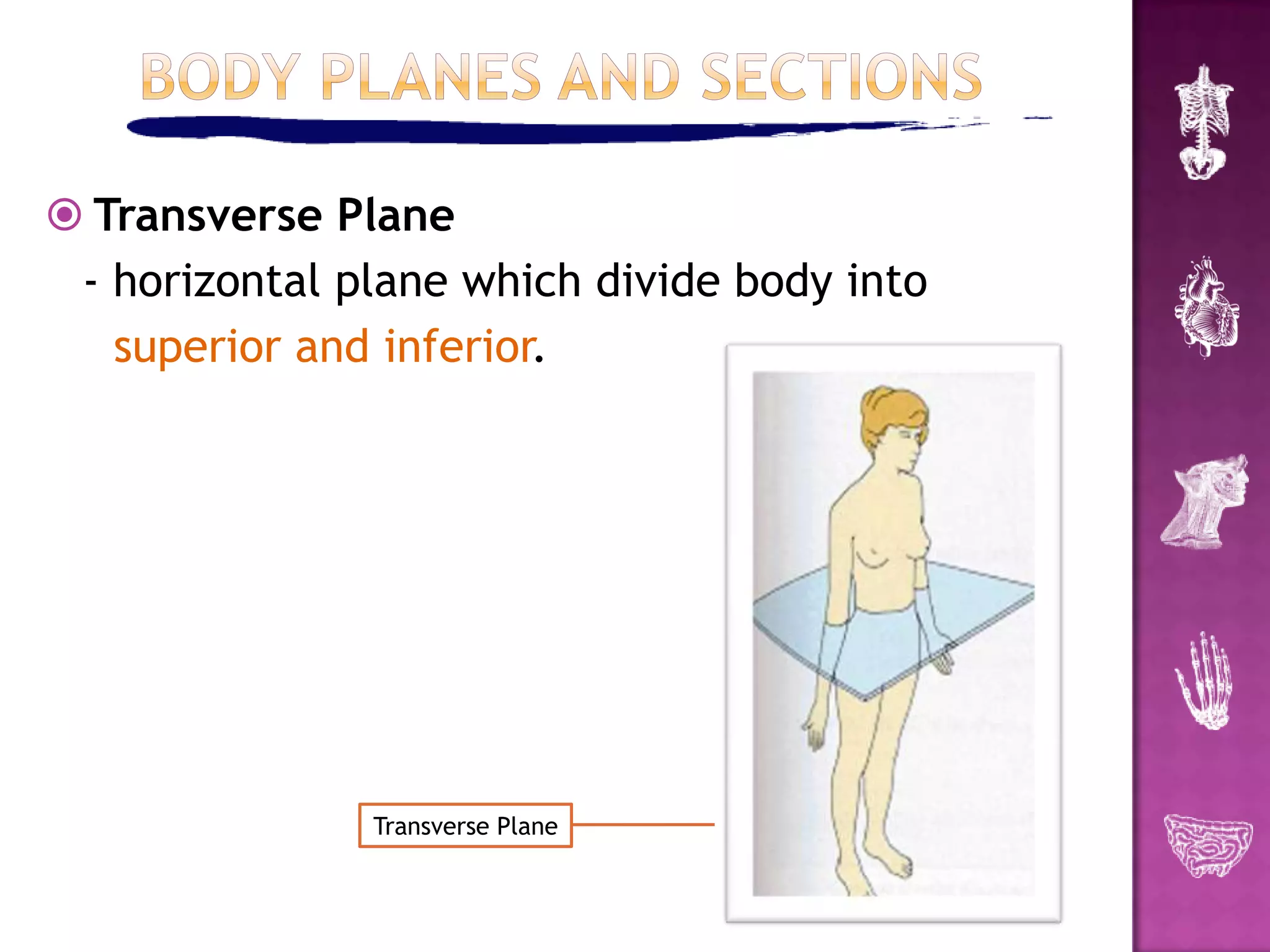 Introduction to Human Anatomy | PPTX
