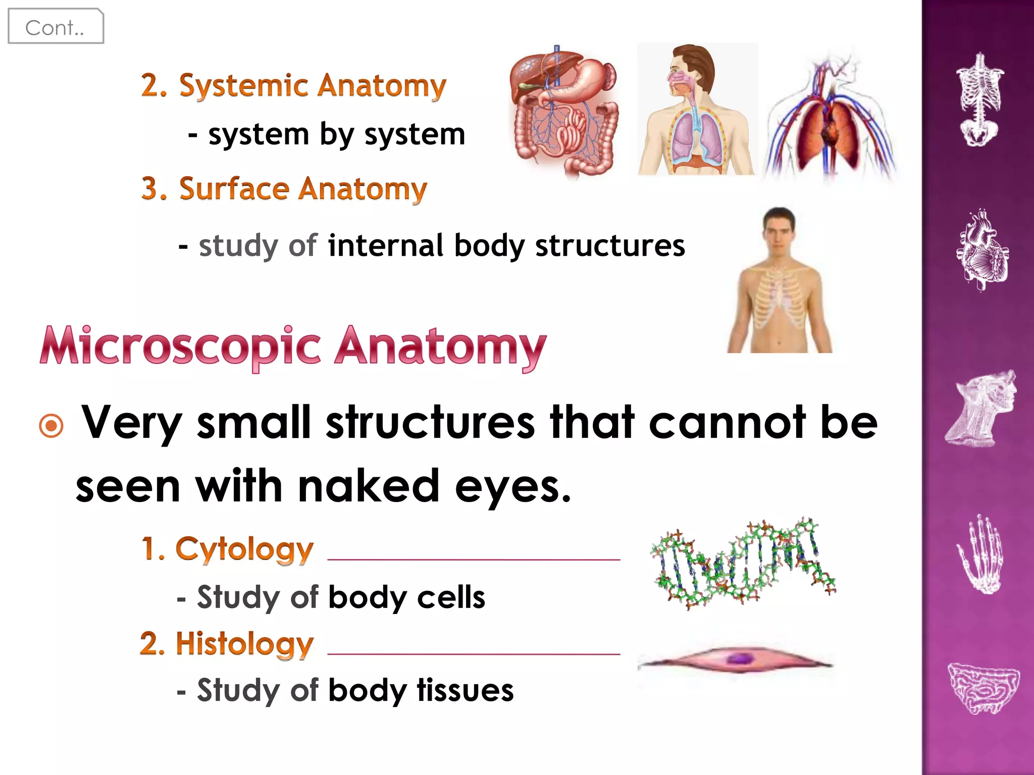 Introduction to Human Anatomy | PPTX