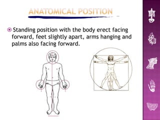 Introduction to Human Anatomy | PPTX