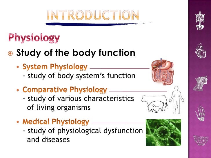Introduction Of Human Anatomy