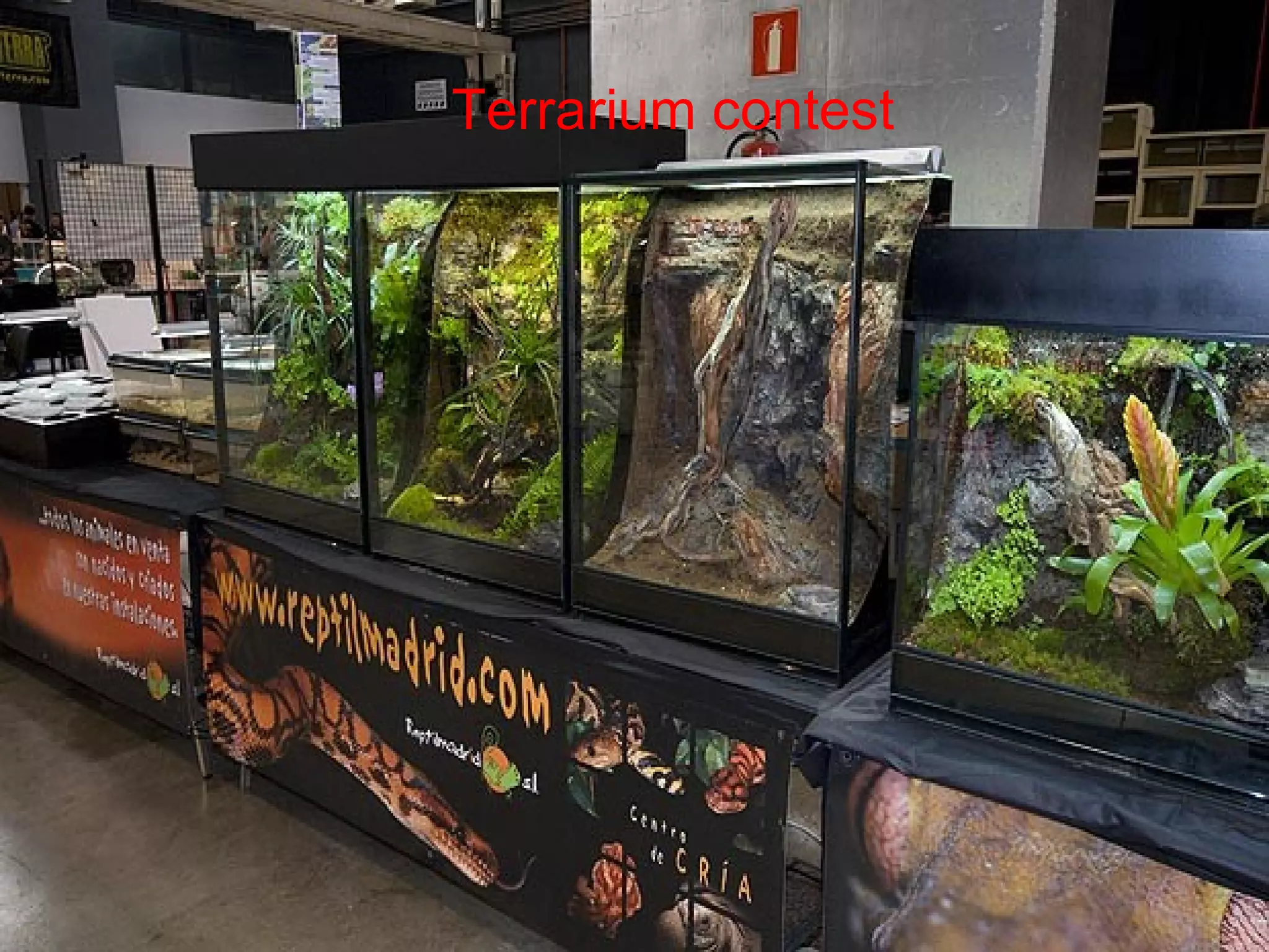 Presentation by Andres | PPT