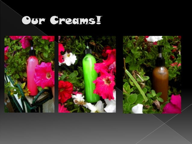 C:\documents and settings\administrador\escritorio\business proyect ppt. | PPT