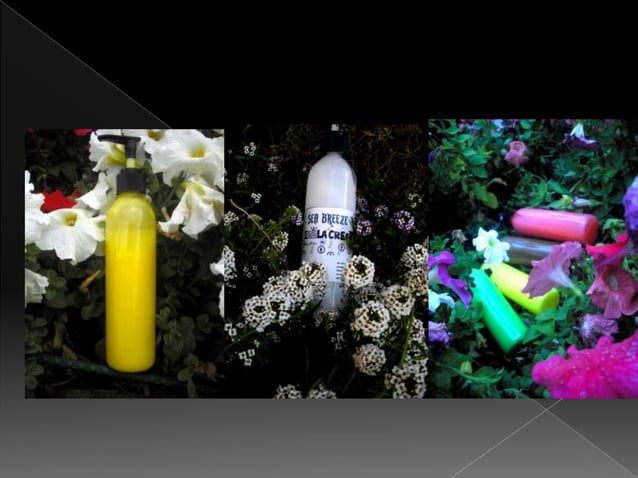 C:\documents and settings\administrador\escritorio\business proyect ppt. | PPT