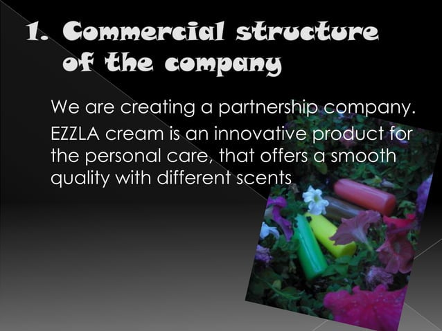 C:\documents and settings\administrador\escritorio\business proyect ppt. | PPT