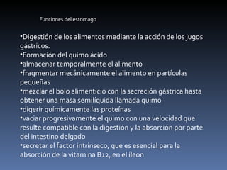enzimas digestivas | PPT