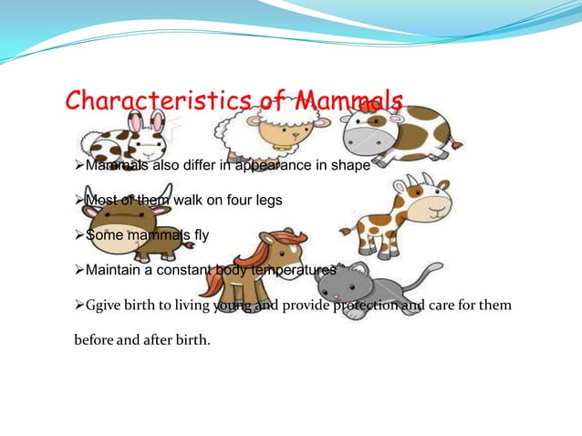 Mammals | PPTX | Zoos & Aquariums | Attractions