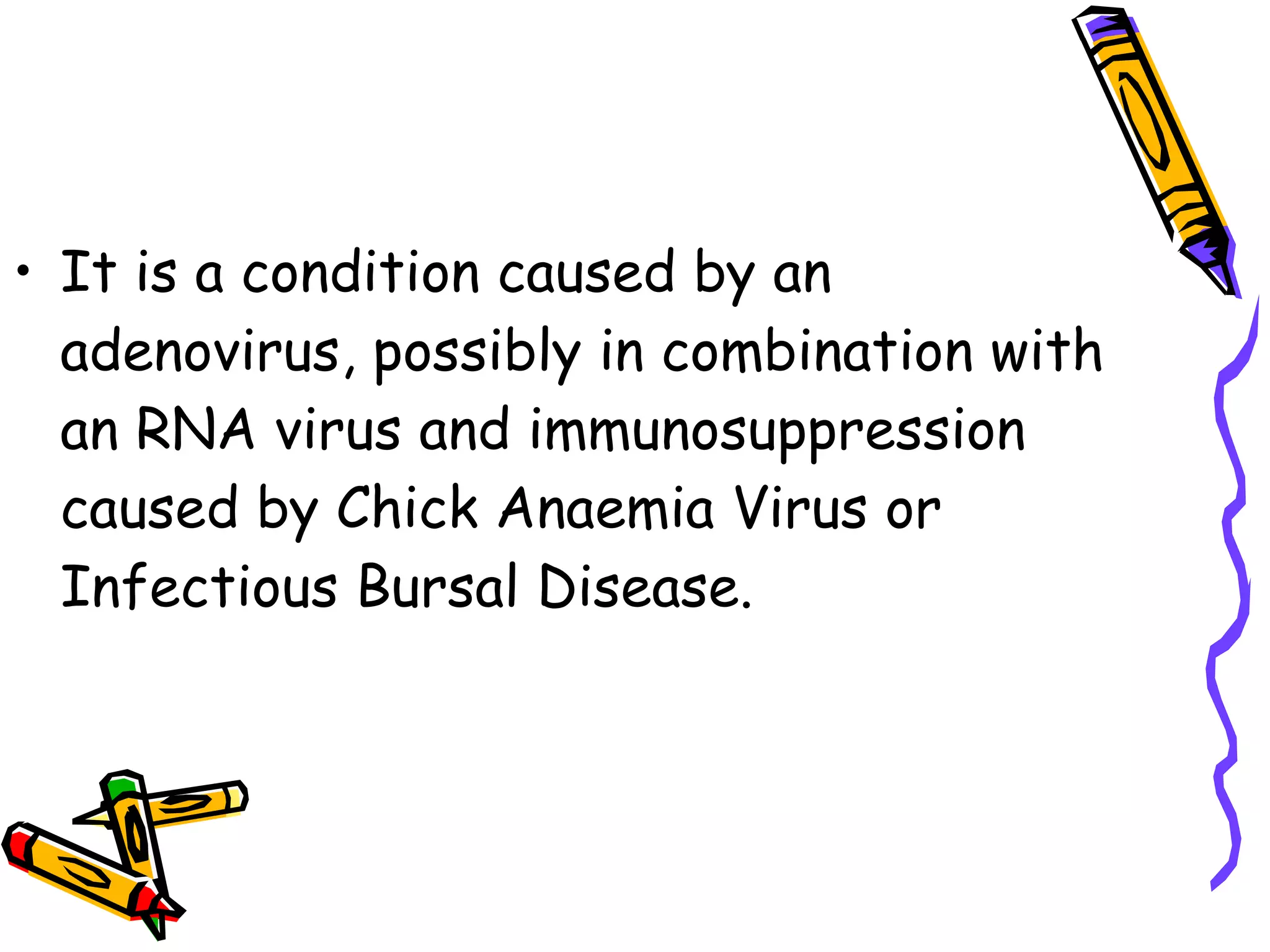 Hydropericardium-Hepatitis Syndrome, Angara Disease in broiler chicken ...