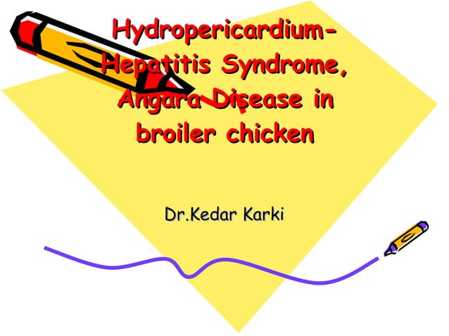 Hydropericardium-Hepatitis Syndrome, Angara Disease in broiler chicken ...