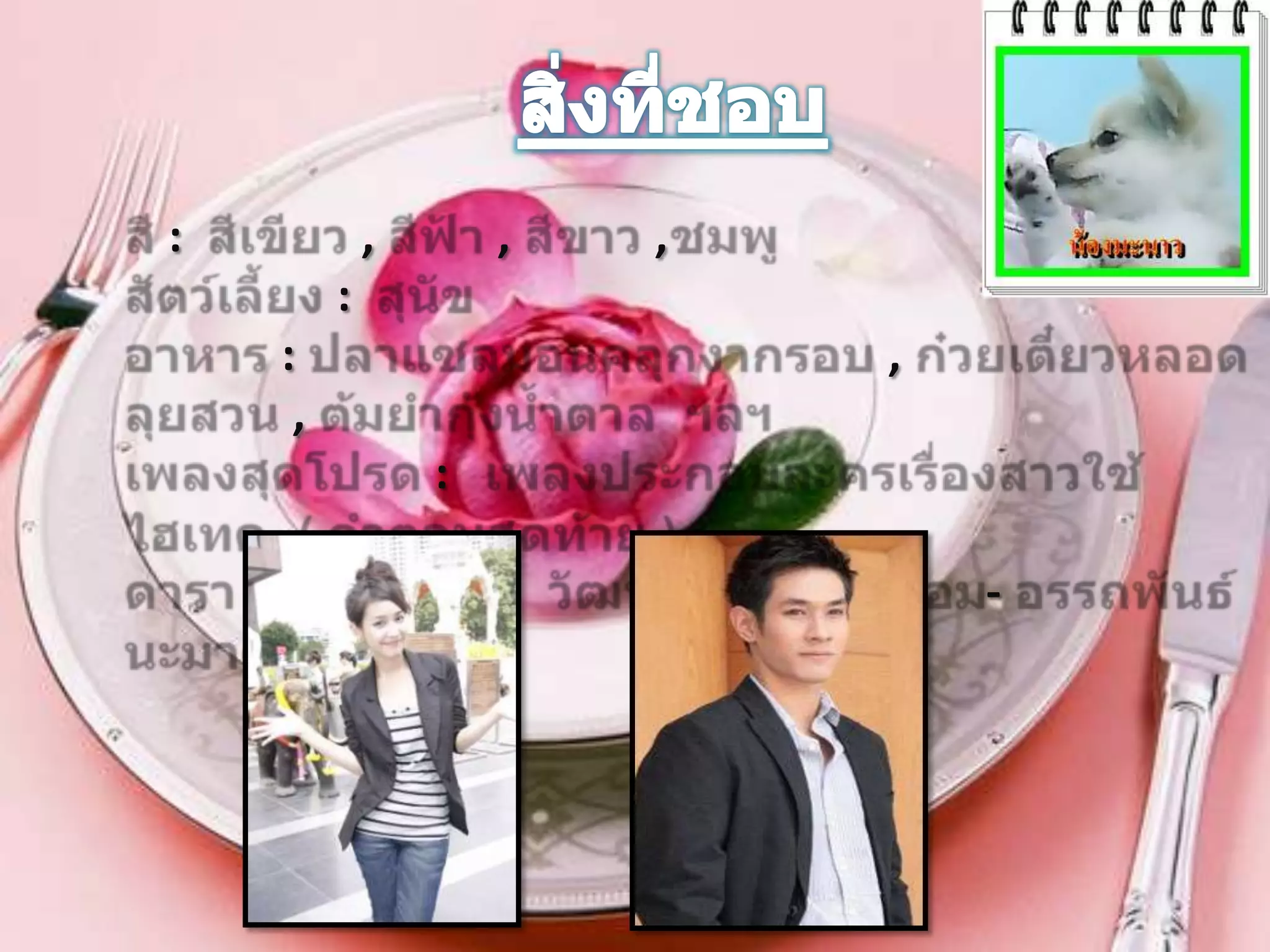 C:\Documents And Settings\Administrator\My Documents\Ppt | PPT