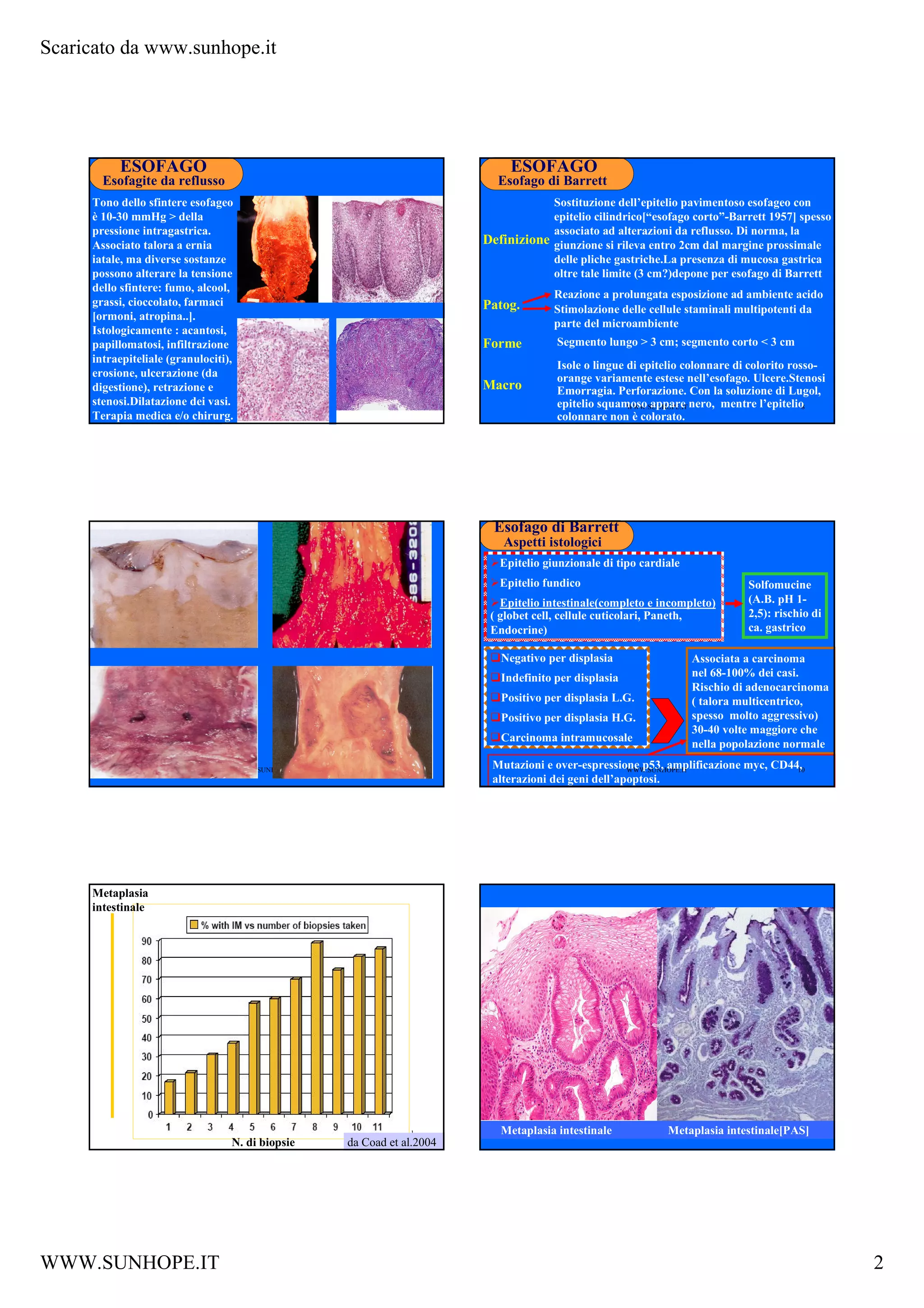 Esofago patologie | PDF