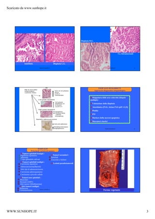 Esofago patologie | PDF