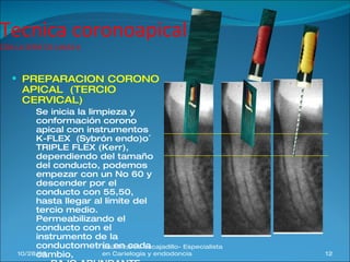 PREPARACION QUIMICO MECANICA Y BIOLOGICA | PPT