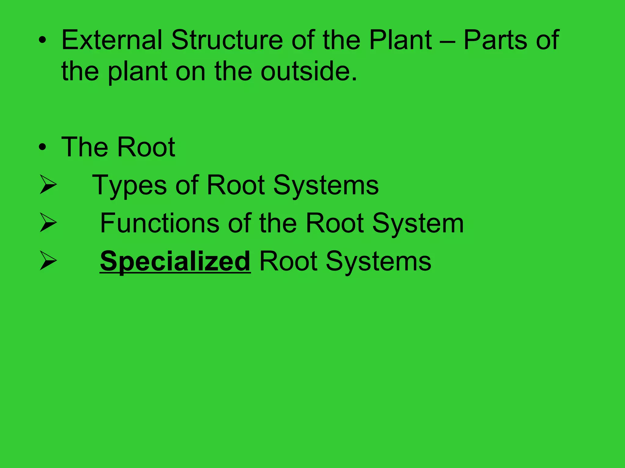 Plant parts and roots | PPT