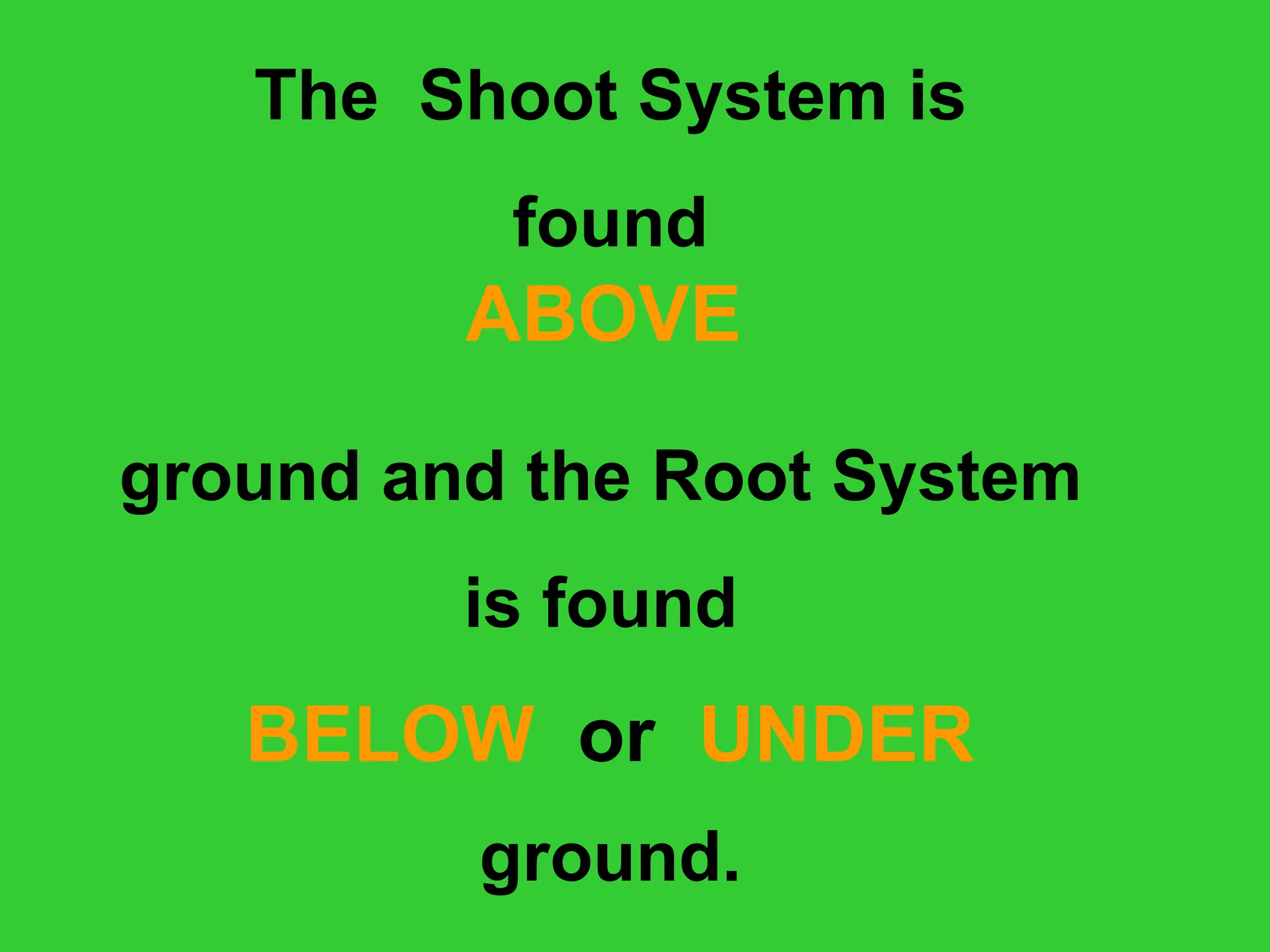 Plant parts and roots | PPT