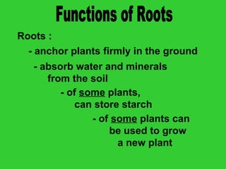 Plant parts and roots | PPT
