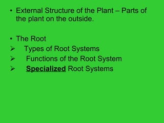 Plant parts and roots | PPT