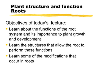 plant roots(b) | PPT