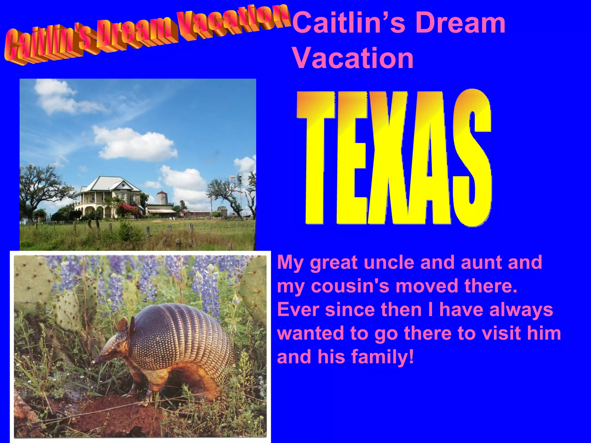 caitlin and amanda | PPT