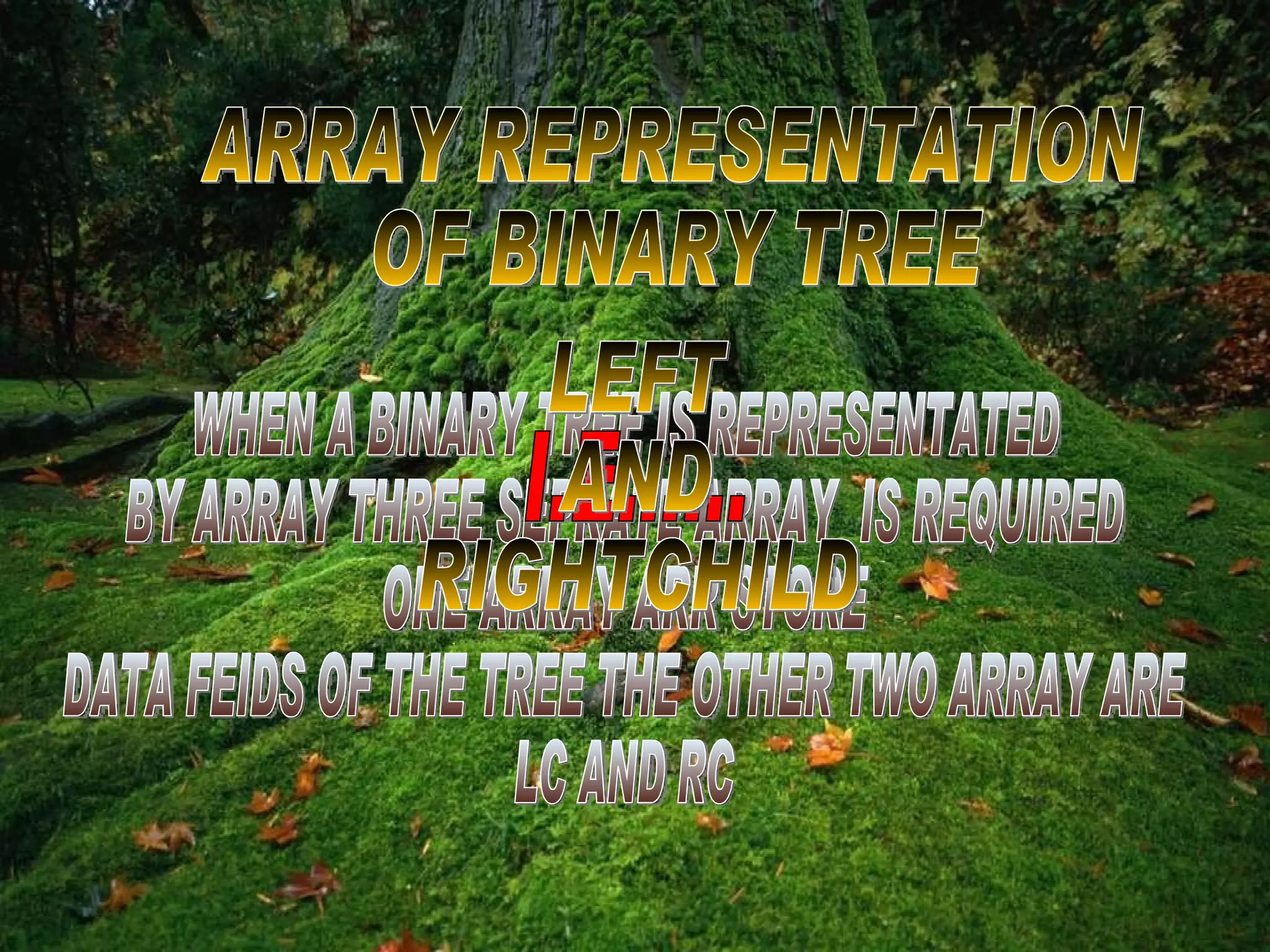 Data Structures Ppt Programming Languages Computing