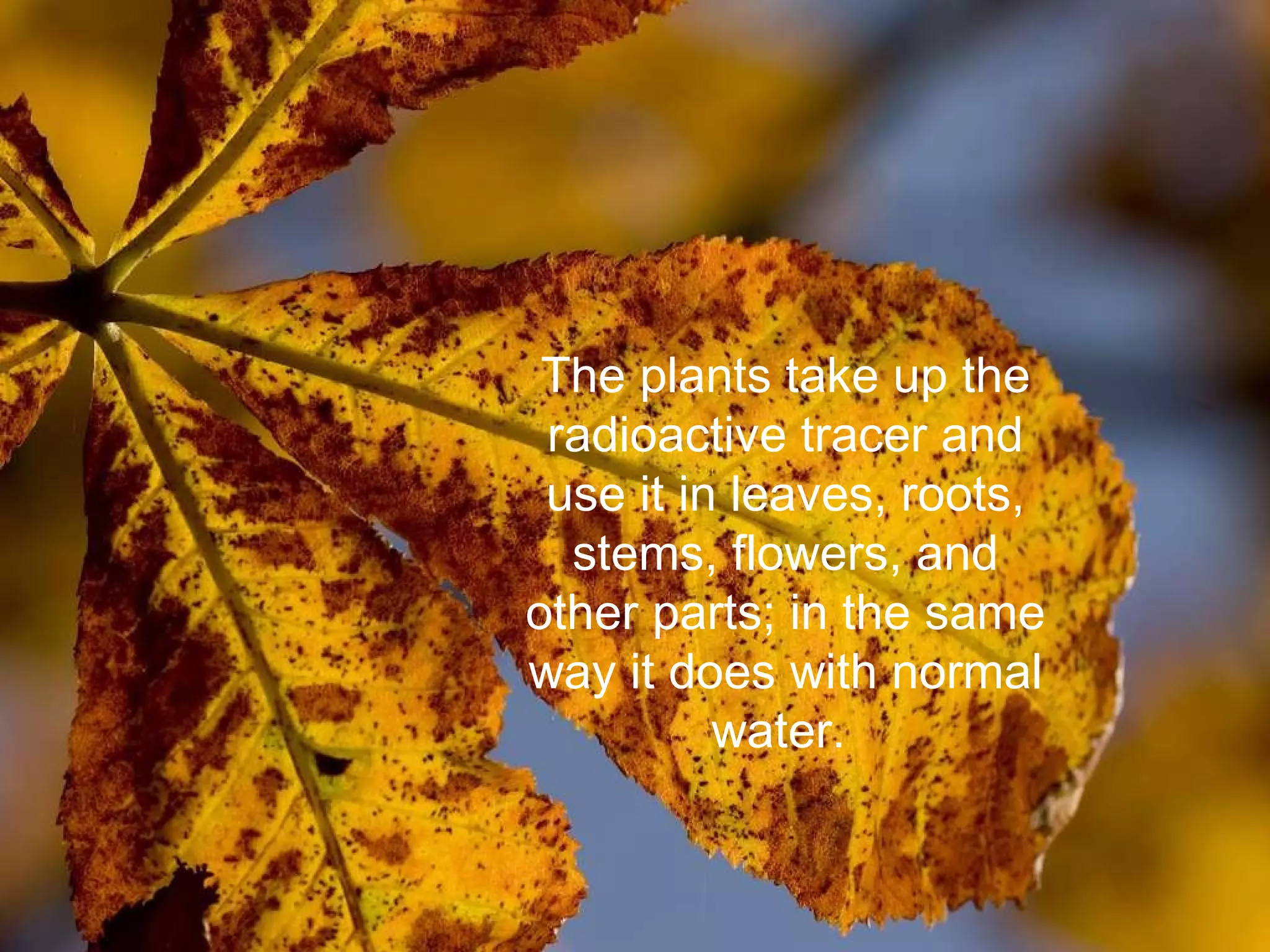 Radioactive Tracers | PPT