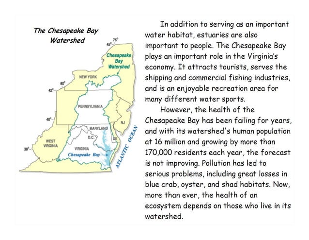 Water and Watershed Unit Flip Chart | PDF