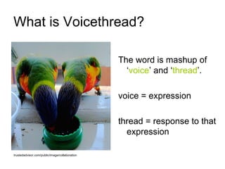 VoiceThread final presentation | PPT