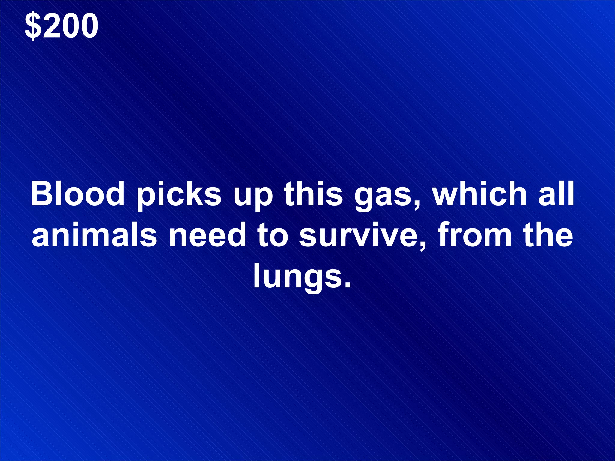 Human Body Jeopardy | PPT | Lung and Respiratory Health | Diseases and ...