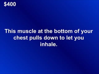 Human Body Jeopardy | PPT