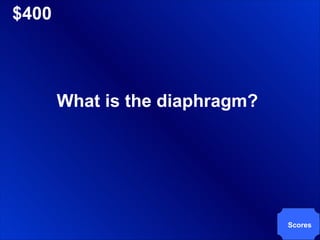 Human Body Jeopardy | PPT