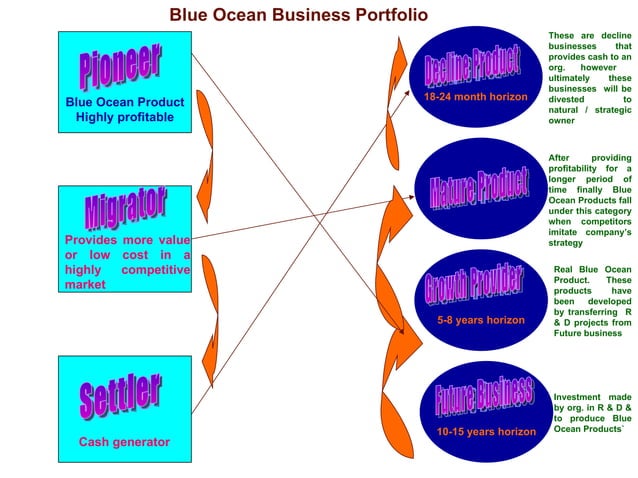 Blue Ocean Business Portfolio | PPT