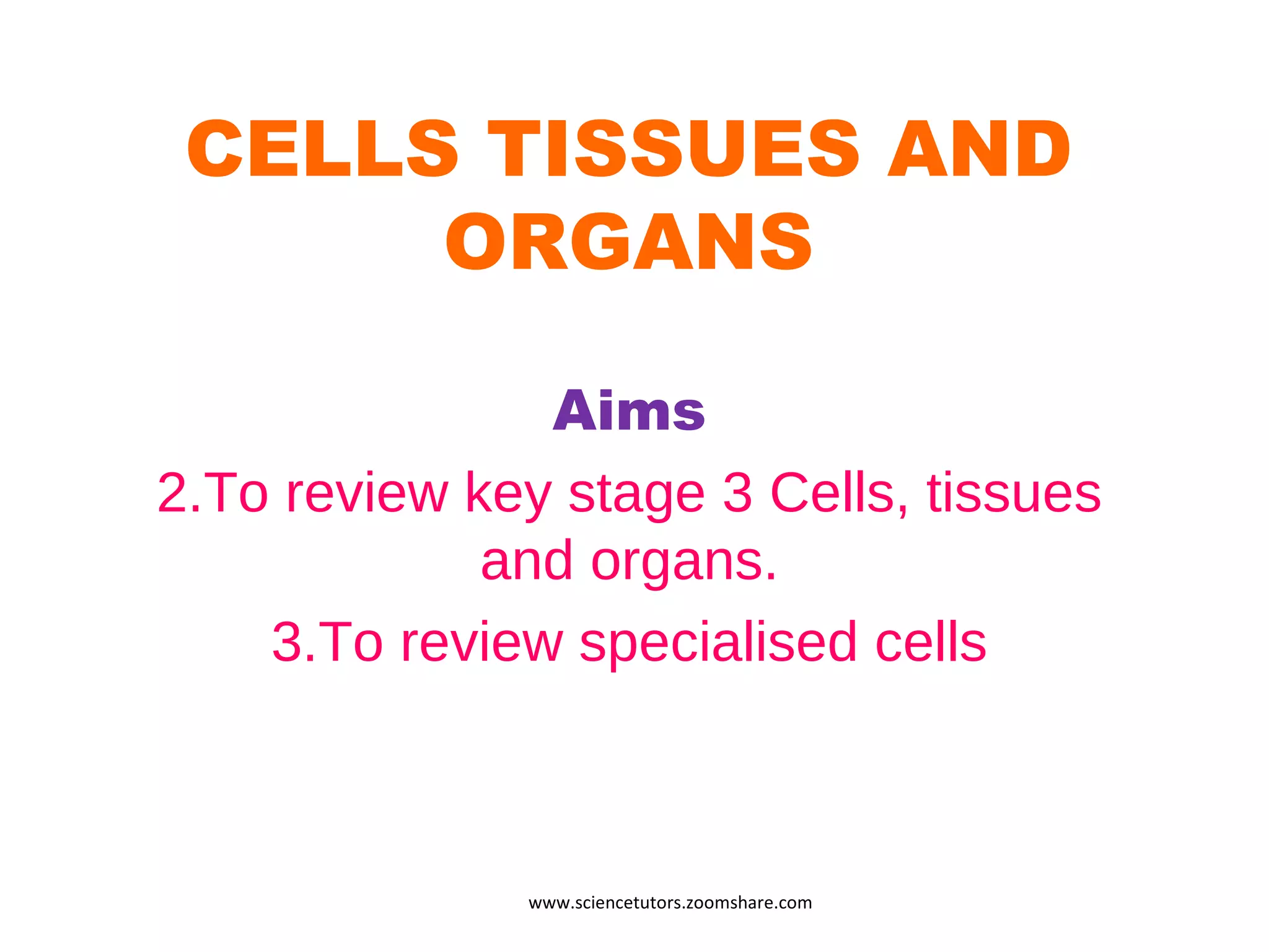 CELL-TISSUES-ORGANS AT A GLANCE | PPT | Biological Sciences | Science